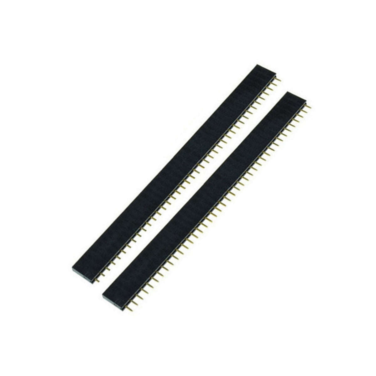 Female Single Row Header Socket 2.54mm 40pin 2pc – SA BuyAll